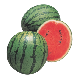 Vesimeloni Ingrid F1 | Viljelijän Berner